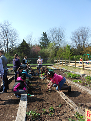 Creating an Elementary School Garden - JMU