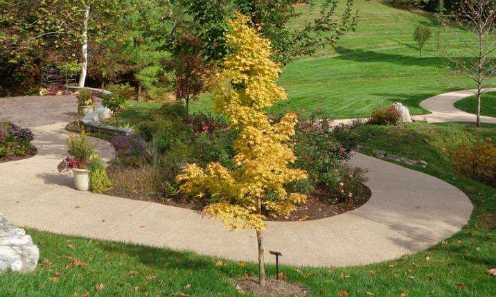 JMU Receives Gold Rating for Sustainability Achievements - JMU