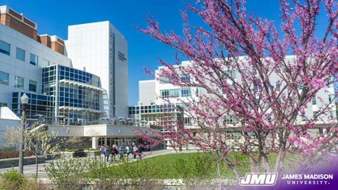 JMU Spirit Backgrounds and Wallpapers - JMU