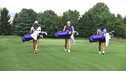 JMU Spirit Backgrounds and Wallpapers - JMU