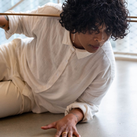 Dorothy Liskey Wampler Distinguished Professorship of Art Series - JMU