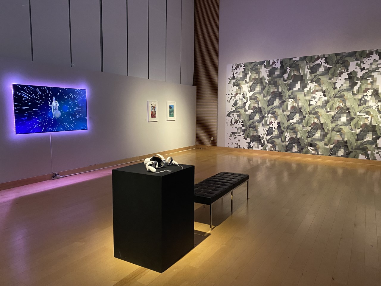 Visible to the User - JMU